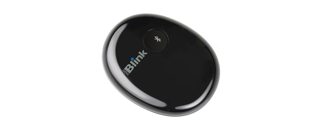 Miniblink Linux